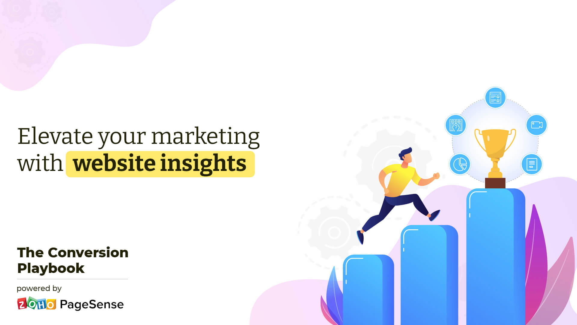 Elevate your marketing with website insights